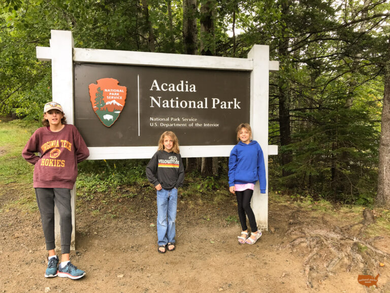 Acadia National Park Wildlife: 13 Top Animals To Spot - National Parks Mom