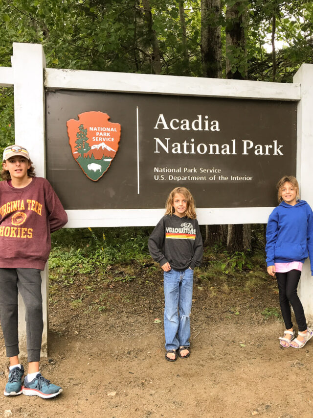 Acadia National Park Wildlife: 13 Top Animals To Spot Story - National ...