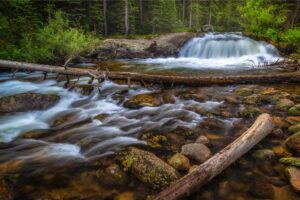 8 Best Easy Hikes in Rocky Mountain National Park - National Parks Mom