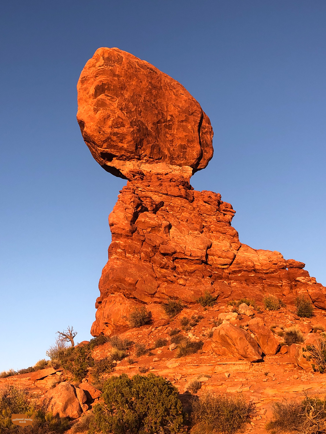 Best Time to Visit Arches National Park: Month by Month - National ...