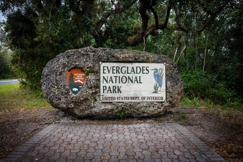 U.S. Wildlife Guide: Everglades National Park Animals - National Parks Mom