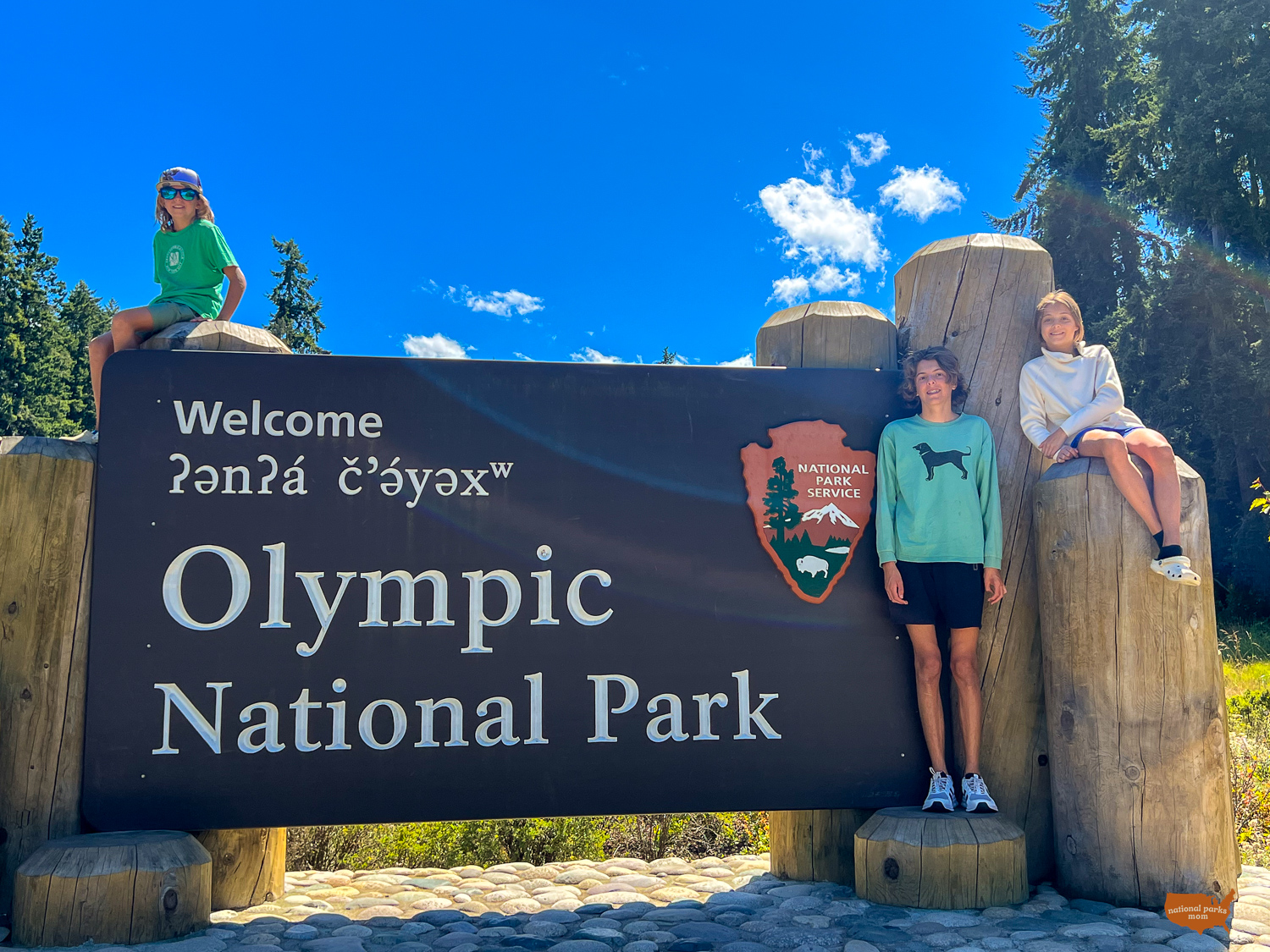 20 TOP Olympic National Park Animals: A Family Guide - National Parks Mom