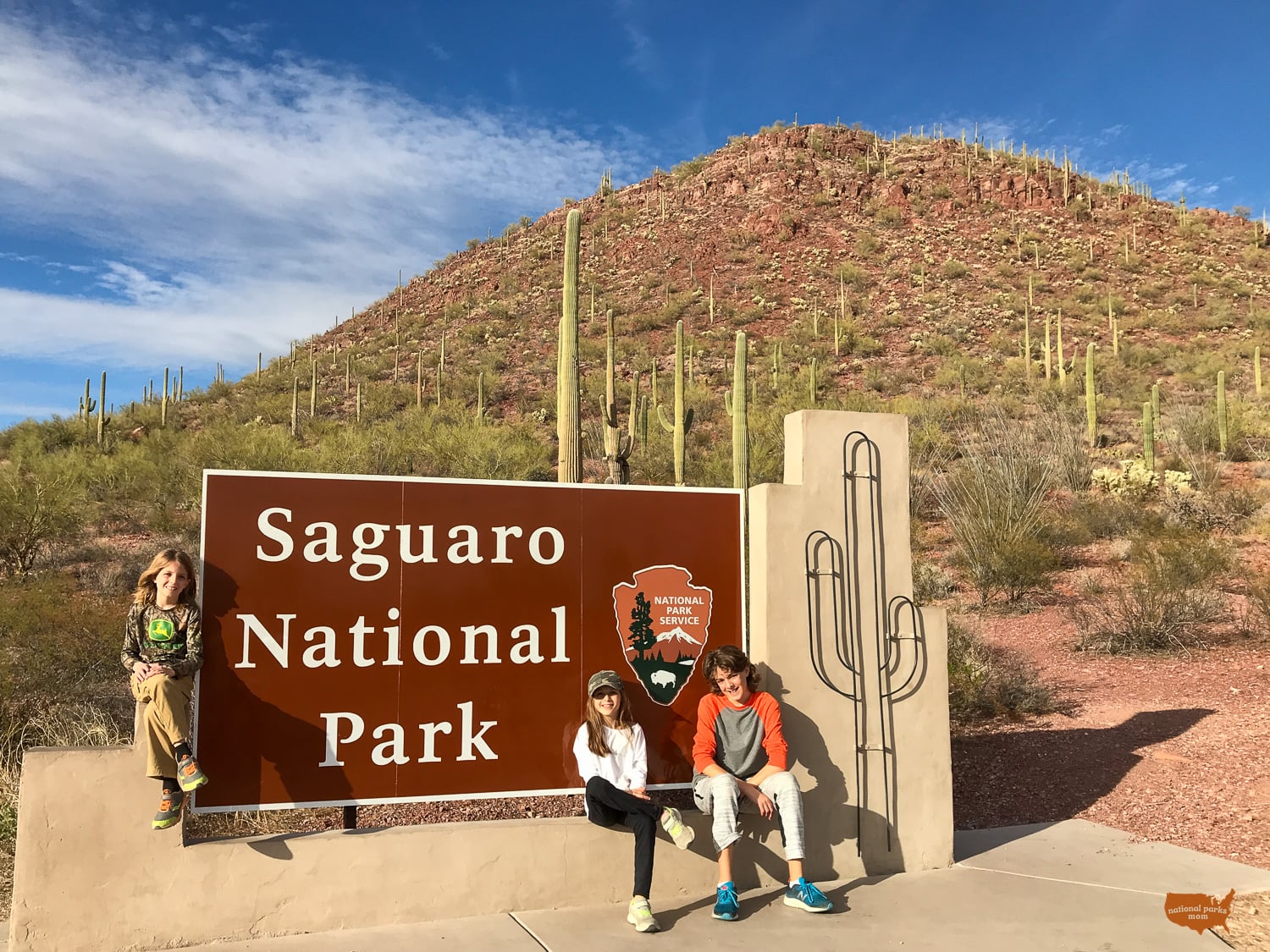 17 Best Hikes in Saguaro National Park for Families - National Parks Mom