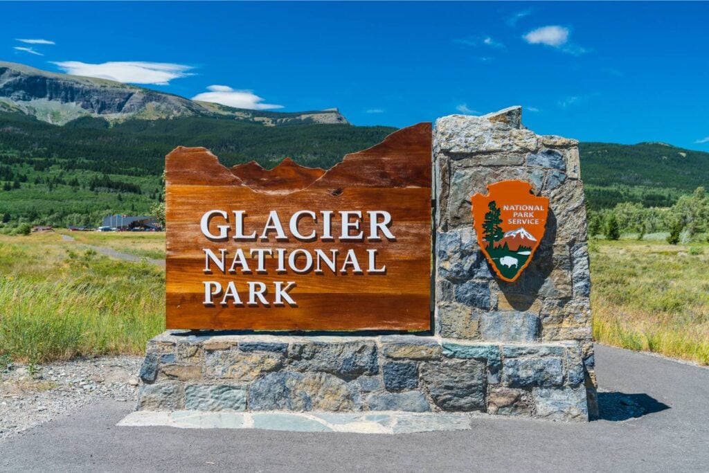 Glacier National Park Animals: Complete Family Guide - National Parks Mom