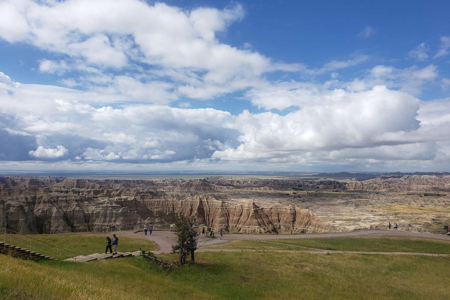 Wildlife in Badlands National Park: 8 Animals To Spot - National Parks Mom