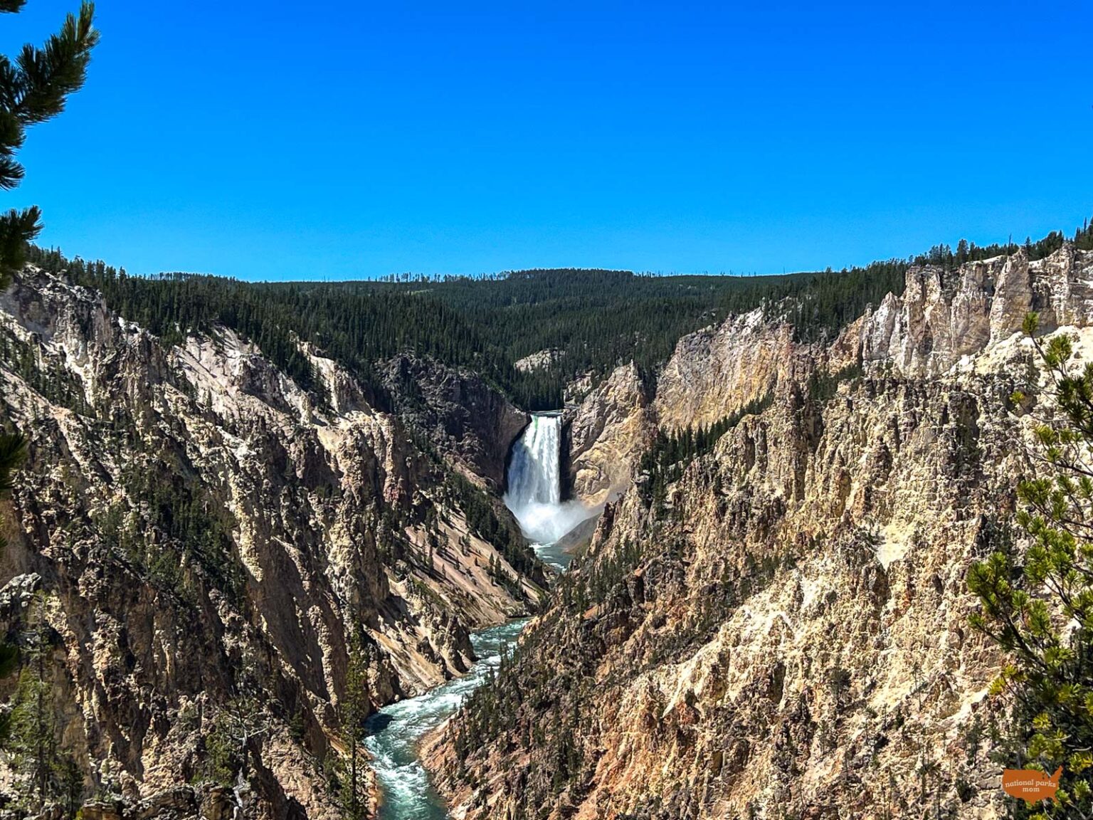 8 BEST Yellowstone Glamping Options For Families - National Parks Mom