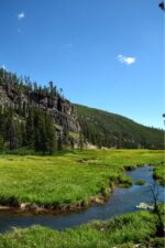 Obsidian Cliff Yellowstone National Park: Why To Stop - National Parks Mom