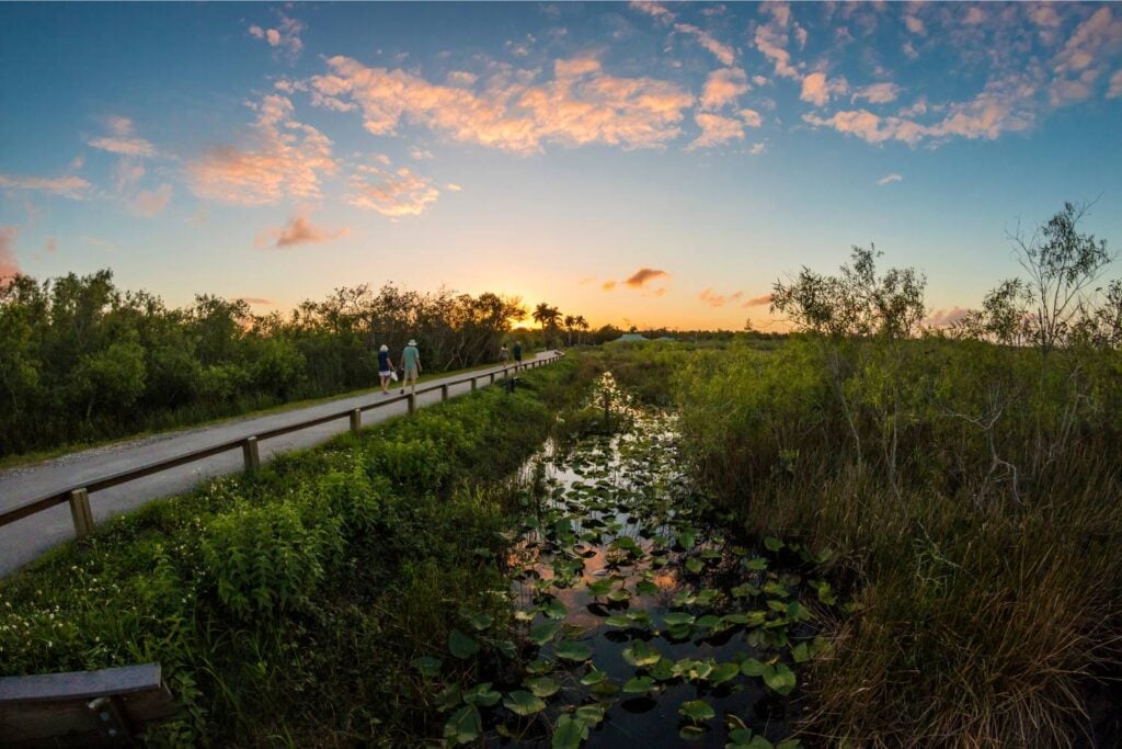 Everglades National Park Hiking: 11 Best Family Treks