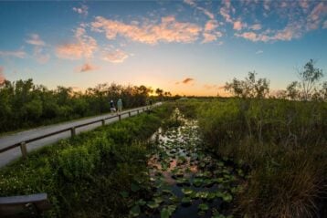 Everglades National Park Hiking: 11 Best Family Treks