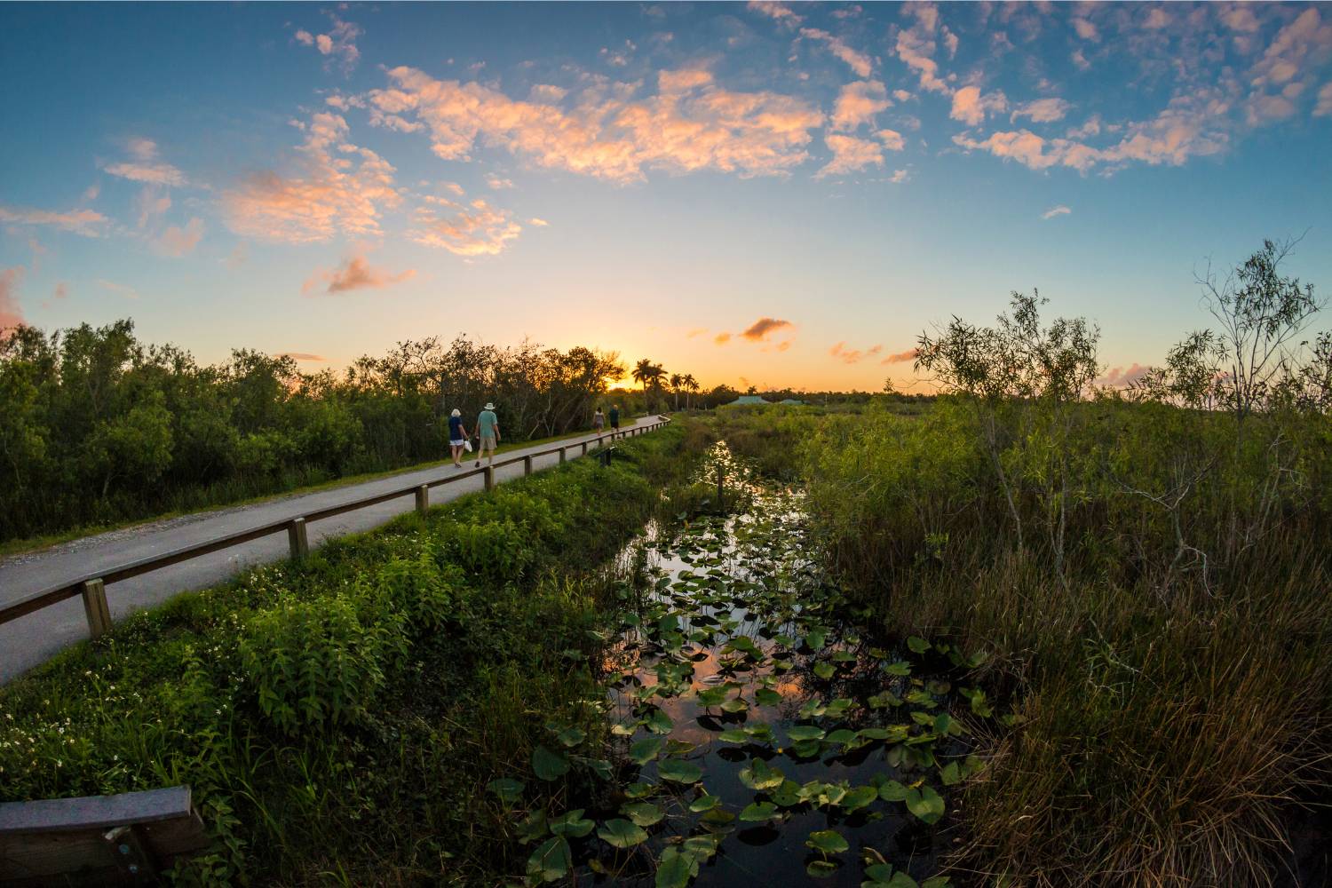 Everglades National Park Hiking: 11 Best Family Treks