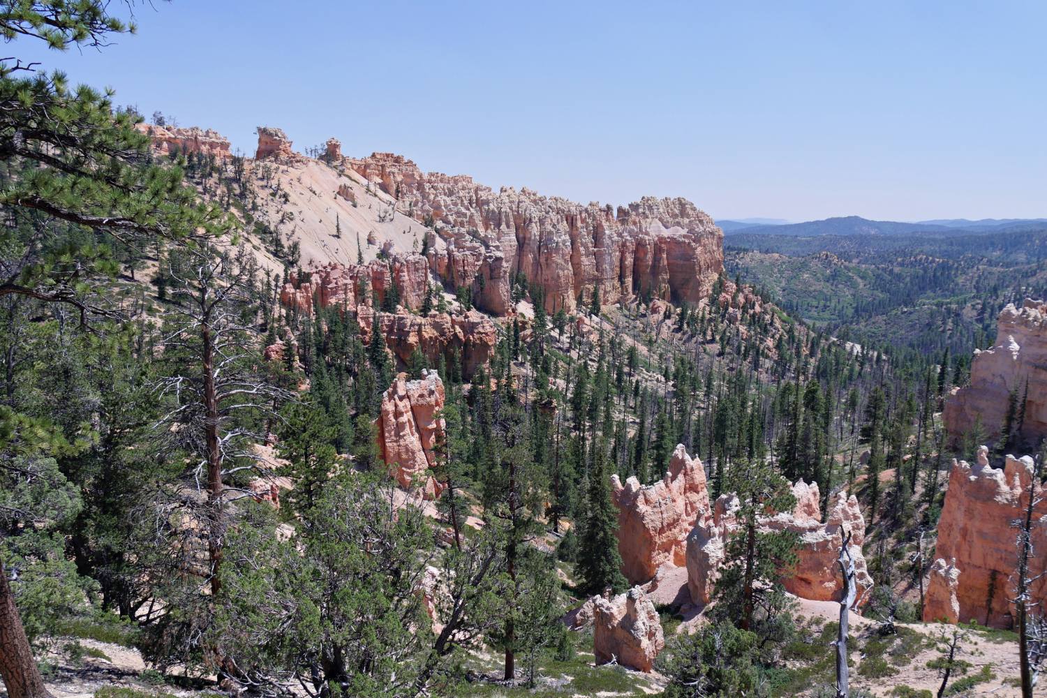 15 BEST Bryce Canyon National Park Hikes for Families - National Parks Mom