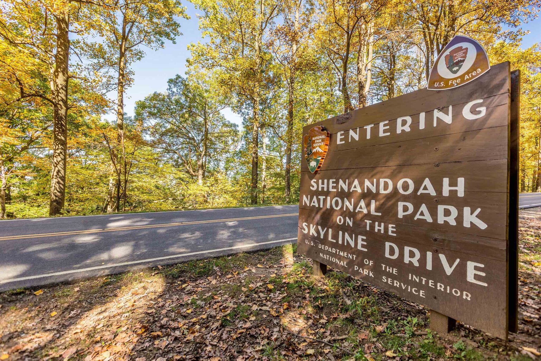 Where To Stay in Shenandoah National Park [For Families] - National Parks Mom