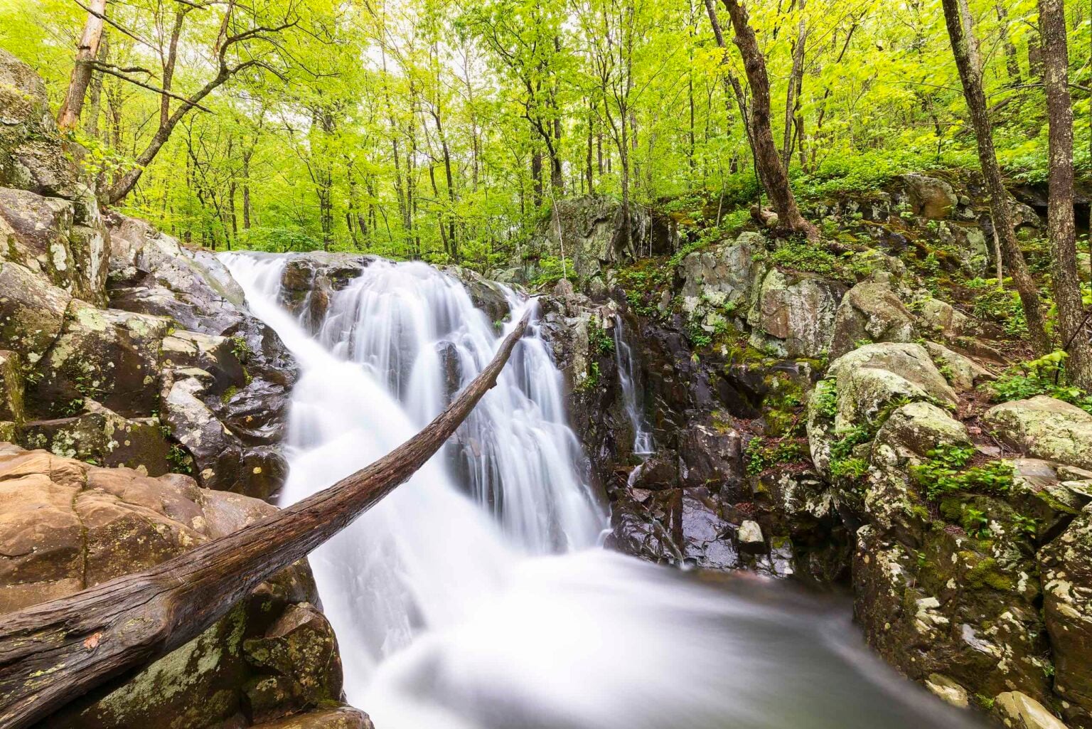 11 Epic Waterfalls in Shenandoah National Park-Family Guide - National ...