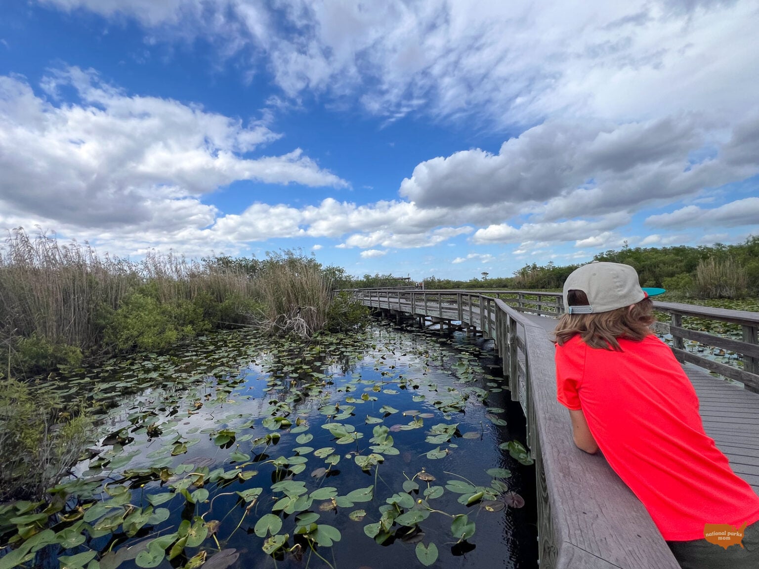 Everglades National Park Hiking: 11 Best Family Treks