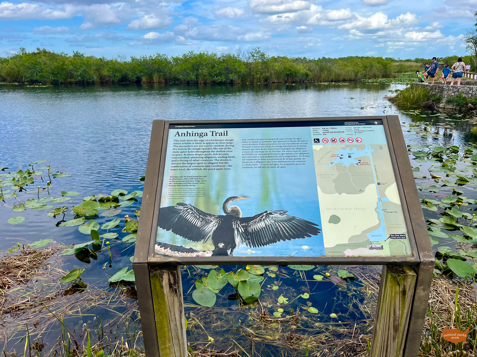 Everglades National Park Hiking: 11 Best Family Treks