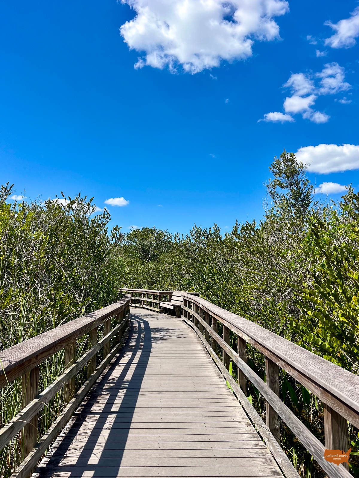 Everglades National Park Hiking: 11 Best Family Treks