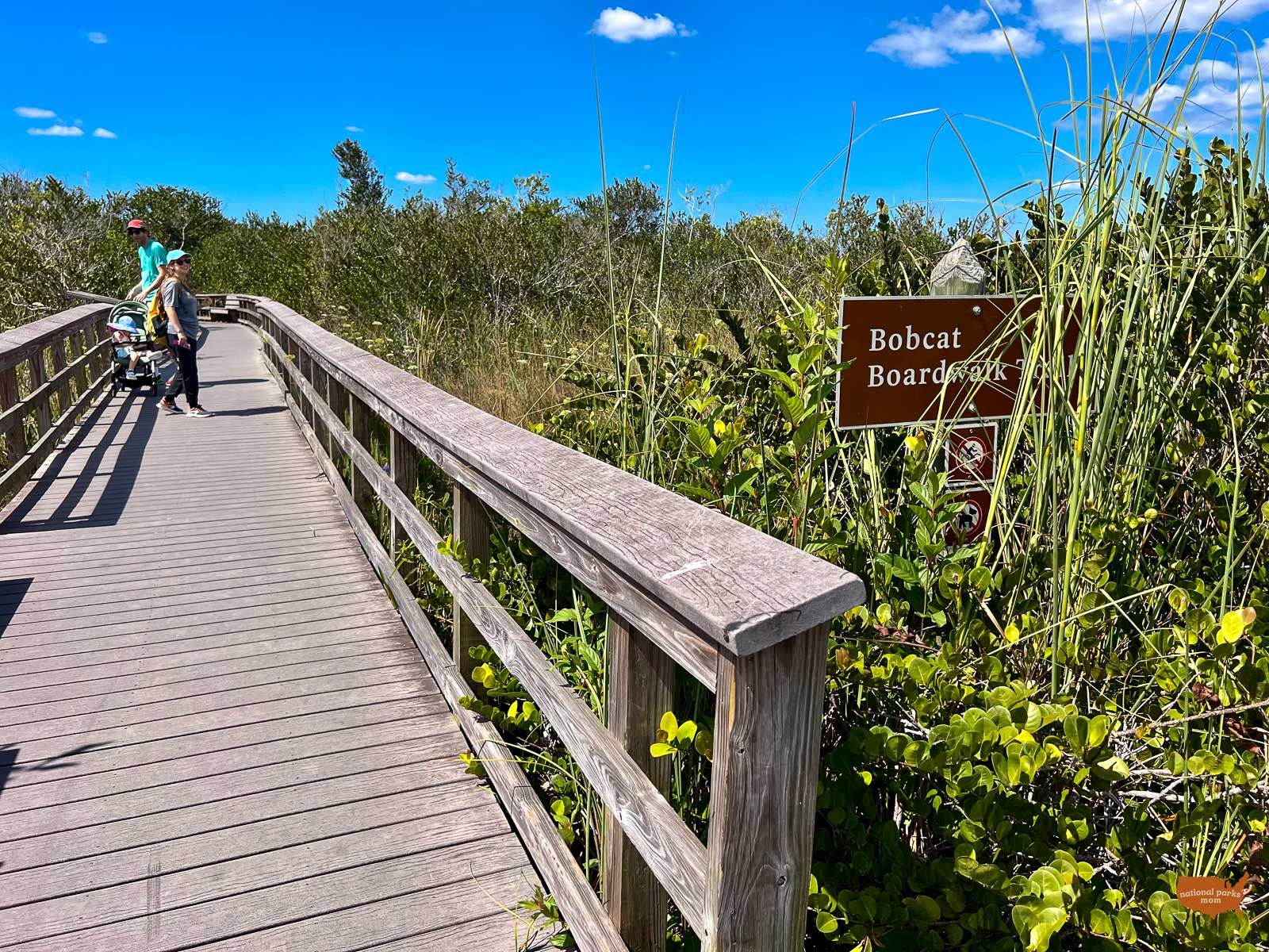 Everglades National Park Hiking: 11 Best Family Treks
