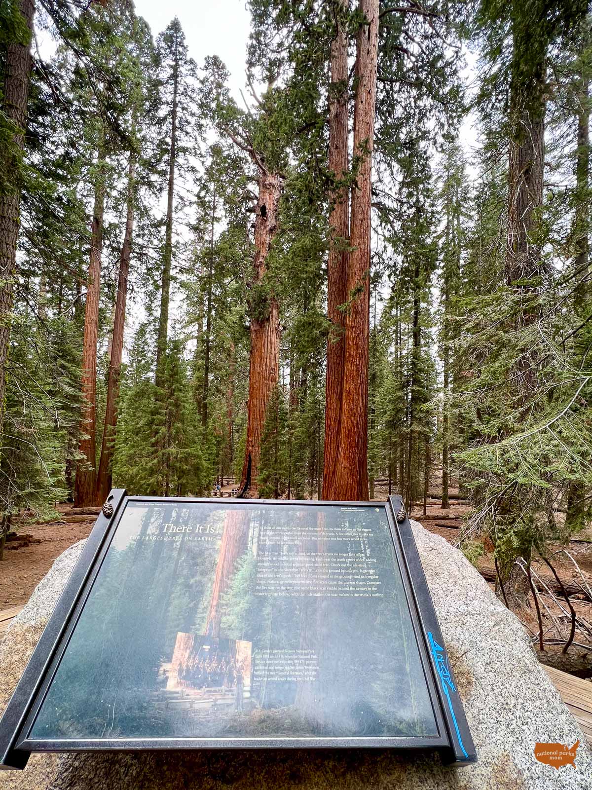 10 Best Things to Do in Sequoia National Park [For Families] - National ...