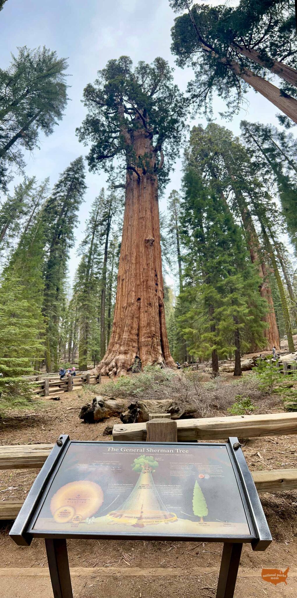 10 Best Things to Do in Sequoia National Park [For Families] - National ...