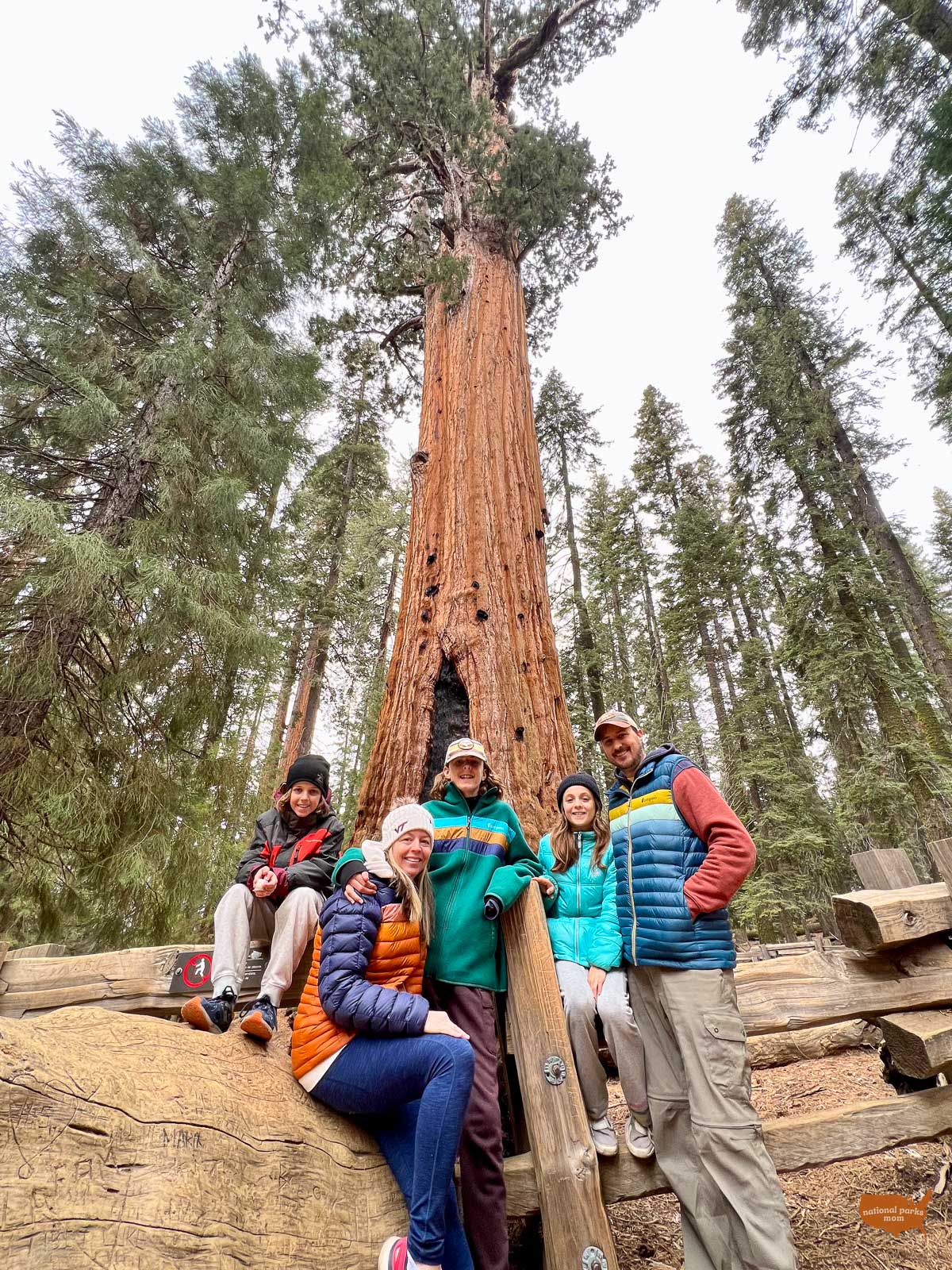10 Best Things to Do in Sequoia National Park [For Families] - National ...