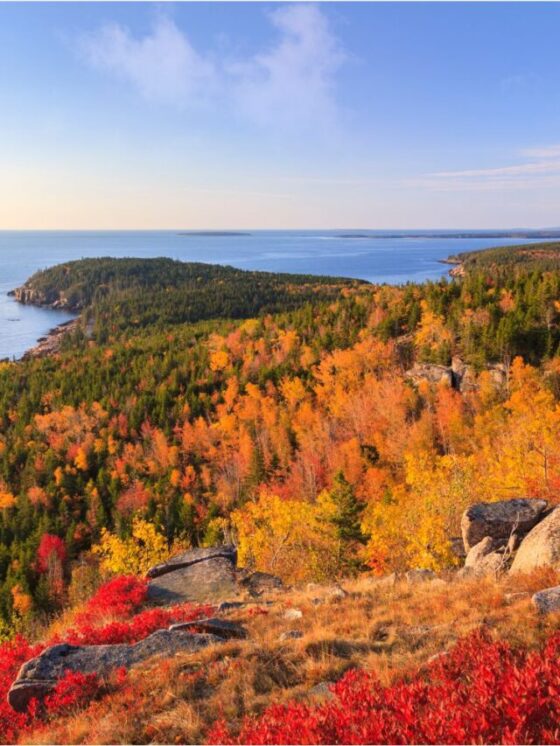 5 Family Favorite National Parks for Fall Foliage - National Parks Mom
