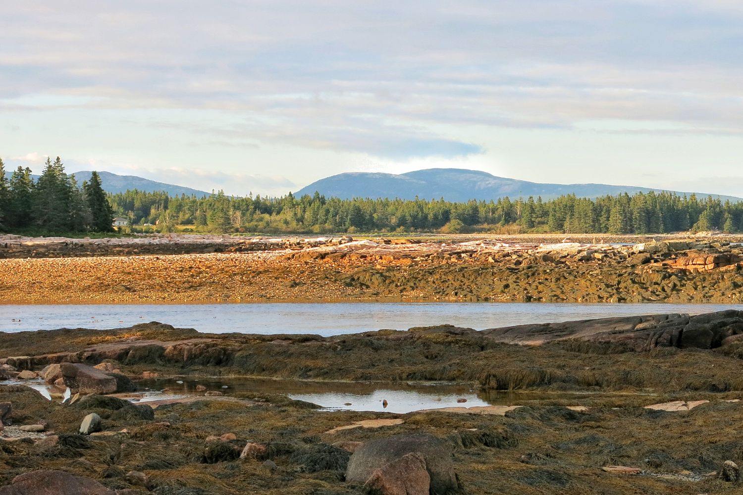 Acadia National Park Easy Hikes: 12 Best for Families - National Parks Mom