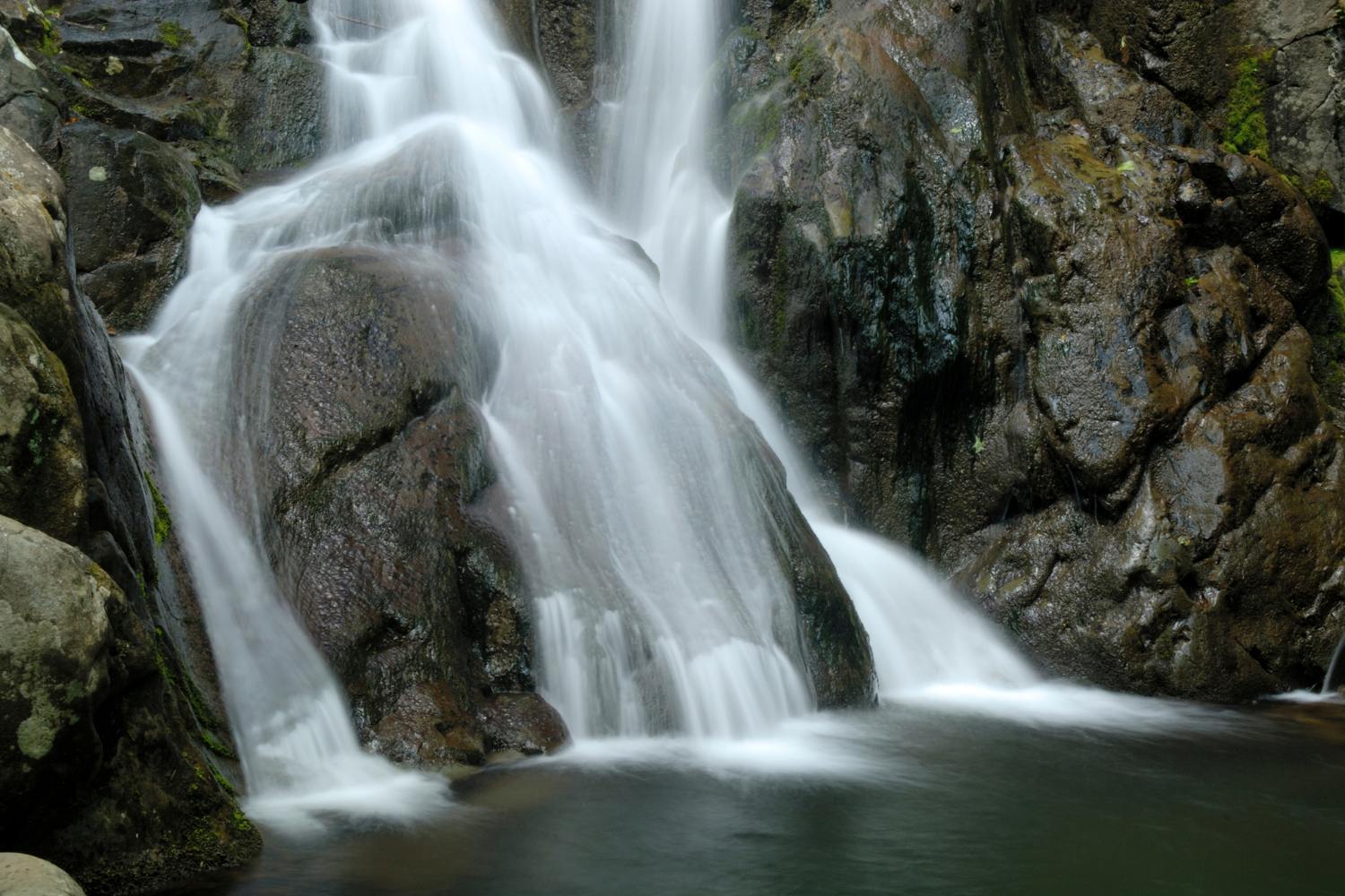 8 Top Shenandoah National Park Things to Do [for Families] - National ...