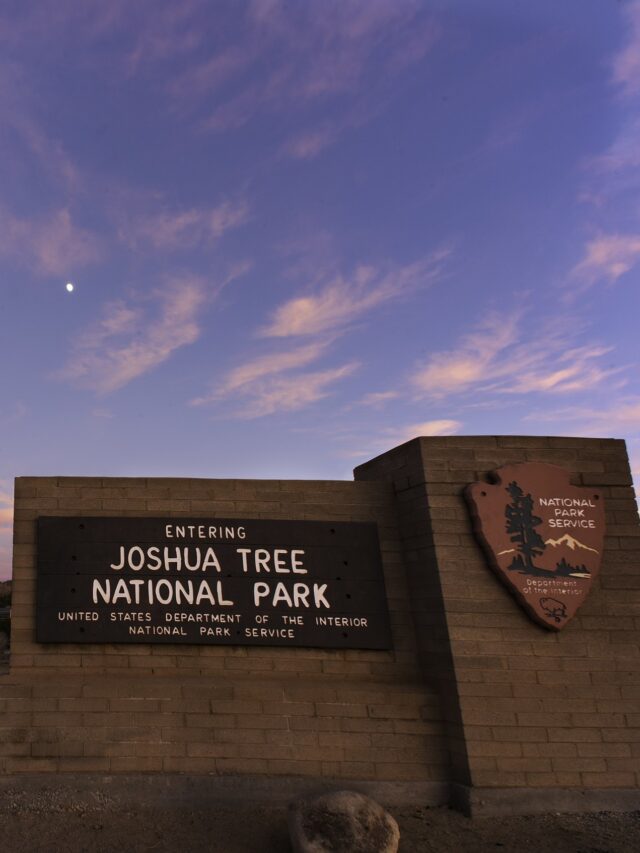 TOP Things to do in Joshua Tree National Park Story - National Parks Mom