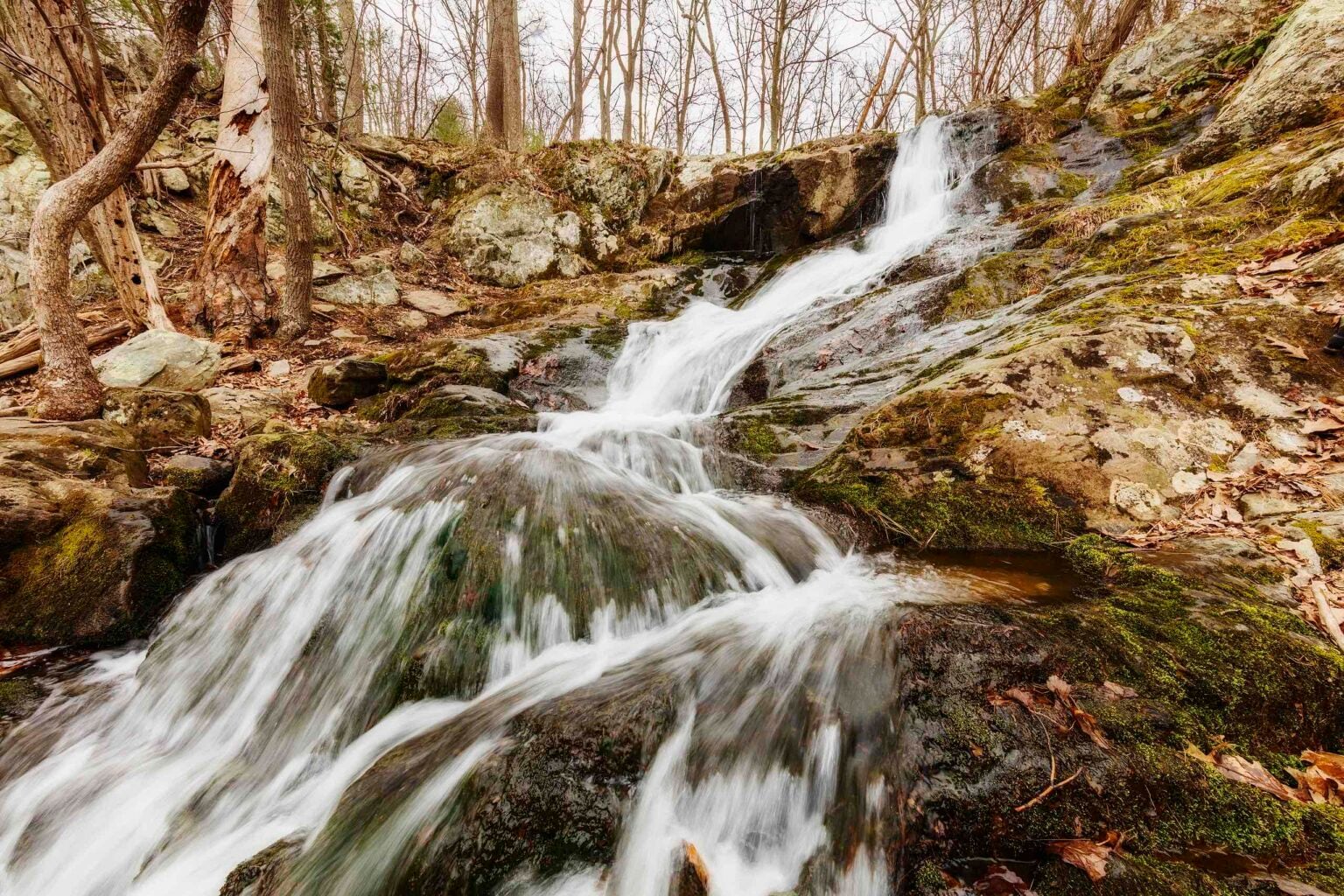 11 Epic Waterfalls in Shenandoah National Park-Family Guide - National ...