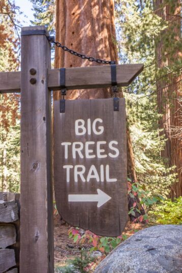 10 Best Hiking Trails in Sequoia National Park for Families - National ...