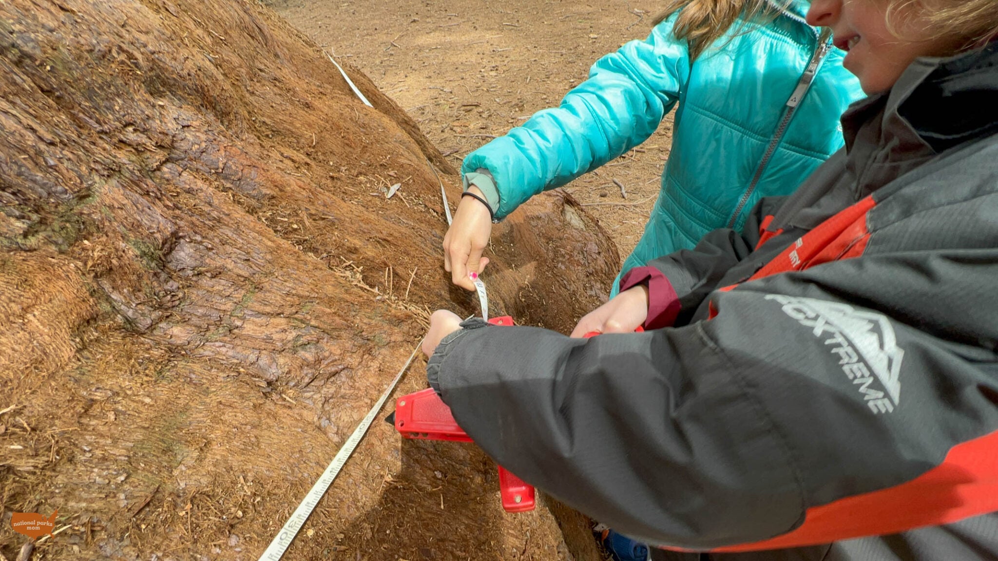 10 Best Hiking Trails in Sequoia National Park for Families - National ...