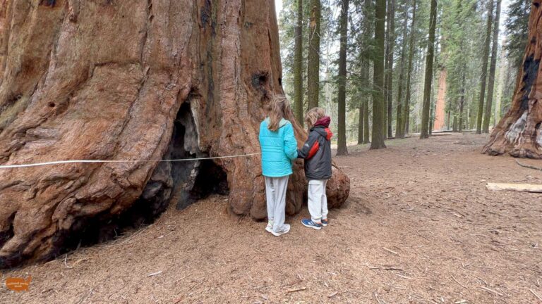 10 Best Hiking Trails in Sequoia National Park for Families - National ...